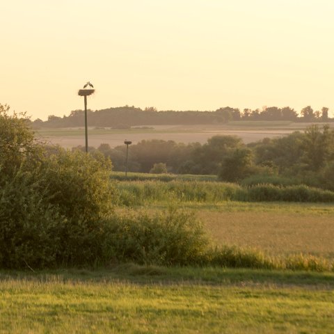 Homepage | Stadt Nidderau